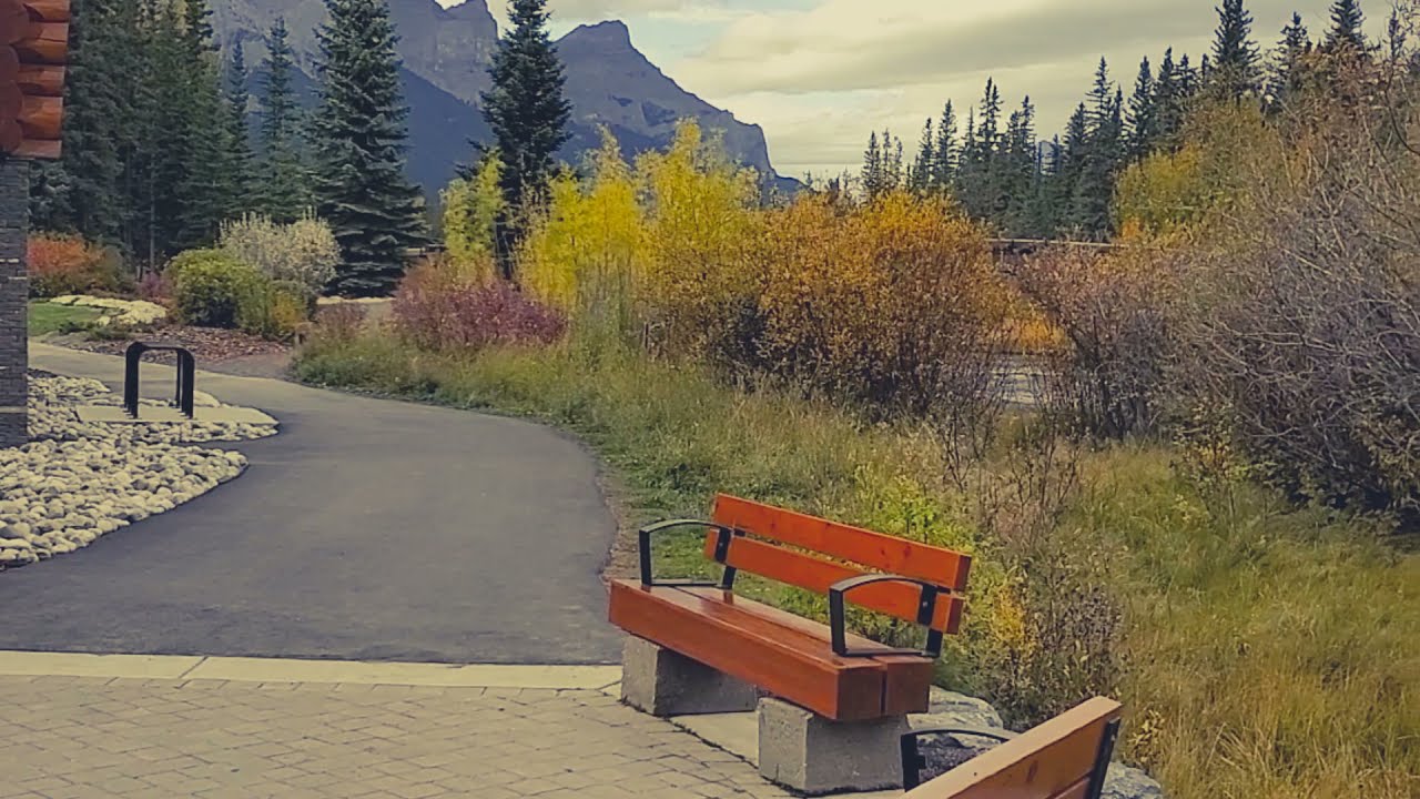 Beautiful Fall Foliage in Alberta /Fabulous Fall Colors Alberta Canada ...