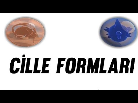 CİLLE FORMLARI