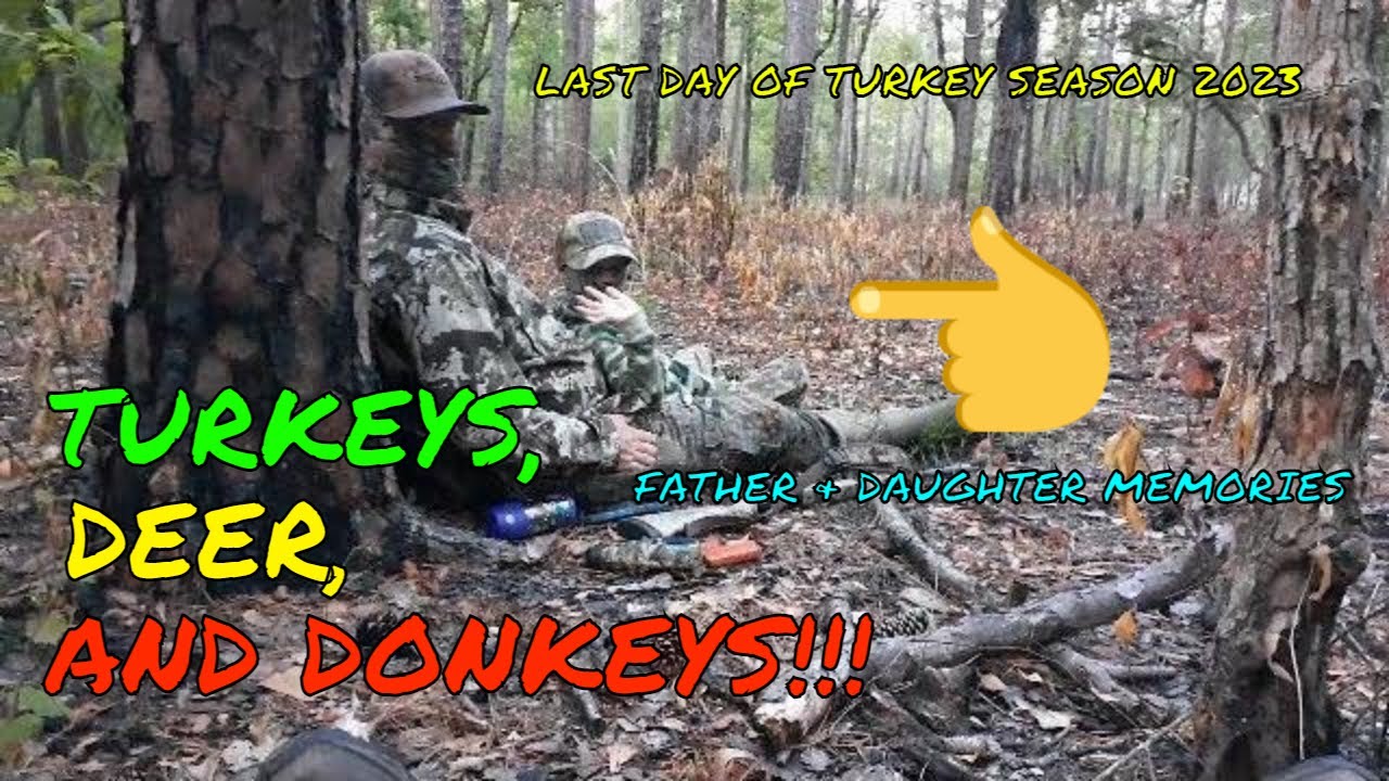TURKEY HUNTING, TURKEYS, DEER, AND DONKEYS - YouTube