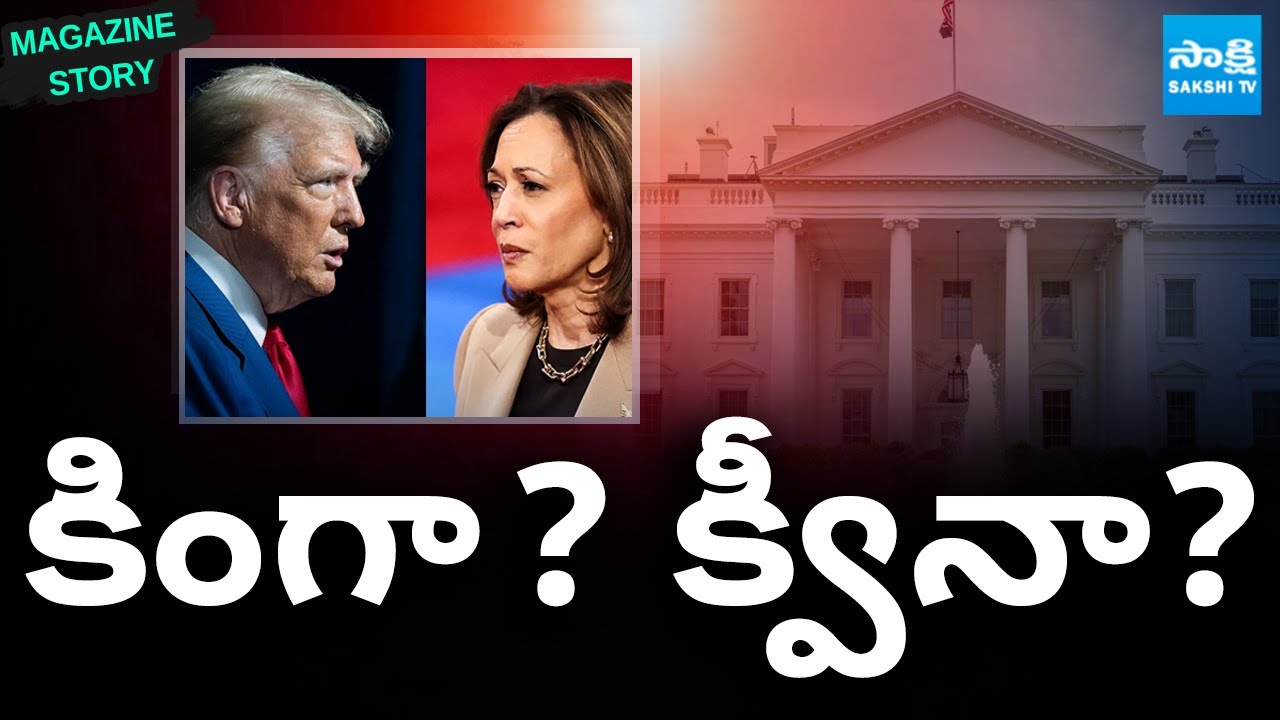 US Presidential Elections 2024: All Eyes On Swing States | Donald Trump ...