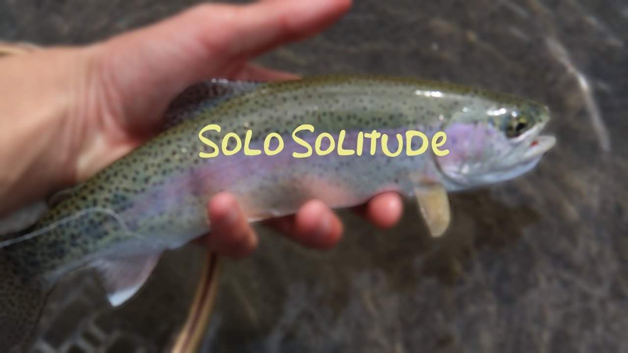 Solo Solitude - Short Fly Fishing Film - YouTube