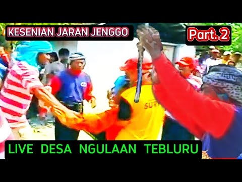 Part.2 ️NDADI ATRAKSI KESENIAN REOG SELO LUKO JOYO DAN JARAN JENGGO ...