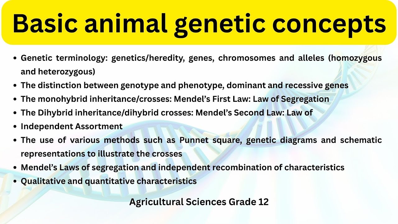 Agricultural Sciences grade 12: Basic animal genetic concepts - YouTube