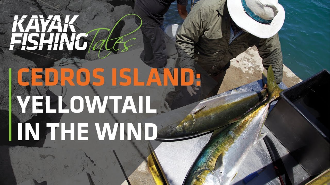 Kayak Fishing Yellowtail in the Wind off Cedros Island, Mexico - YouTube