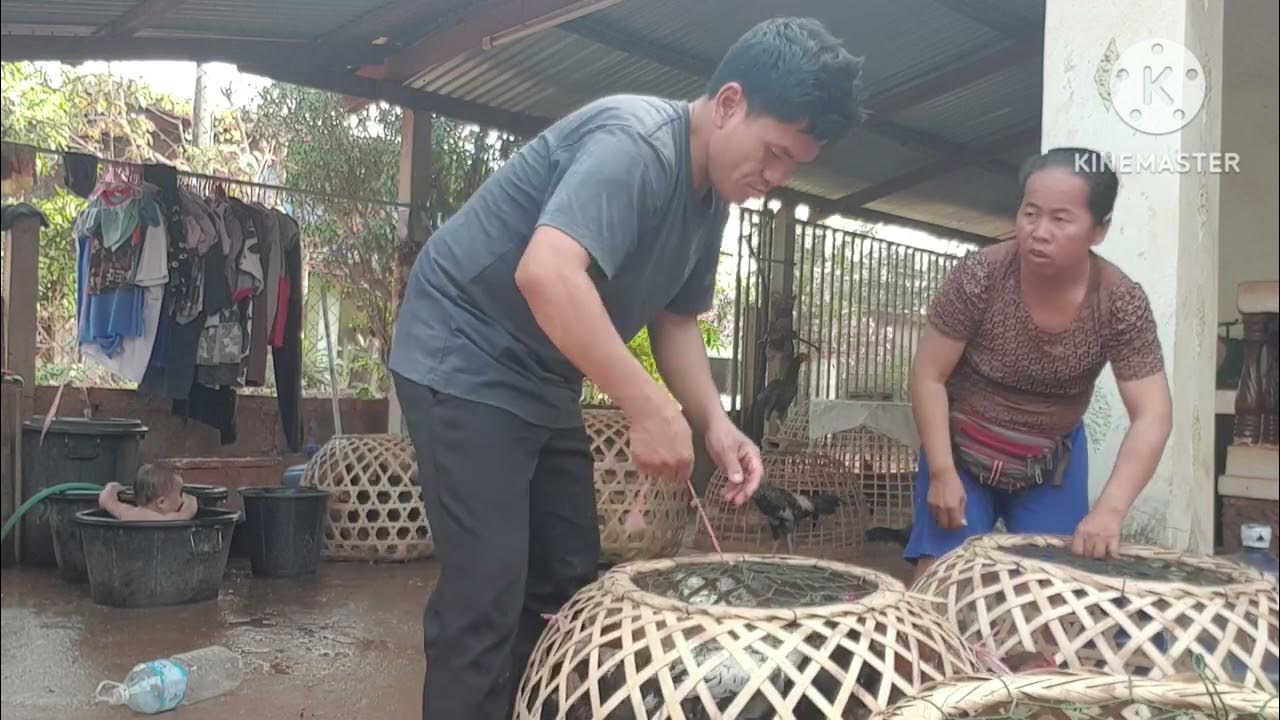 ua tsaug rau niam laus thiab txiv ntxawm tseem pab yuav qaib ntawm wb thiab os - YouTube