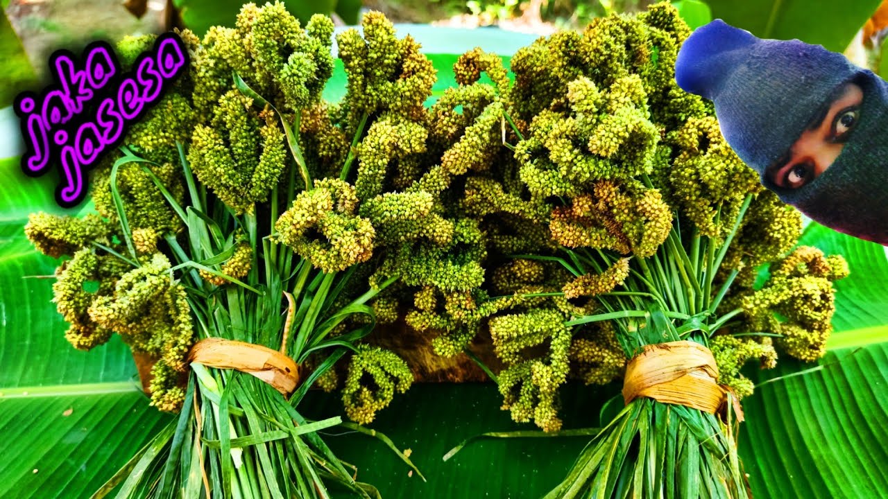 Ragi Recipe | Green Ragi Bonda | Finger Millet Recipe | Nachni Recipes ...