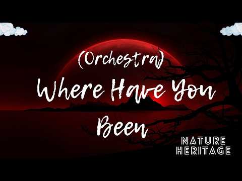 Where Have You Been (Orchestra)(1 Hour)