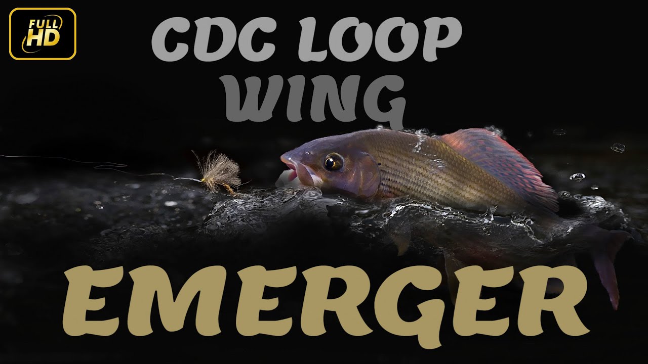 CDC Loop Wing Emerger - YouTube