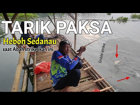 Anyone will be addicted!! Only those with big guts will fish in this area || fishing mania