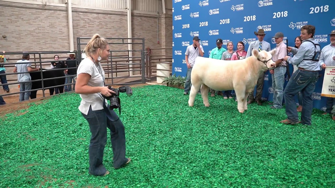 Kaylee Kerbs Sony Alpha Female - YouTube