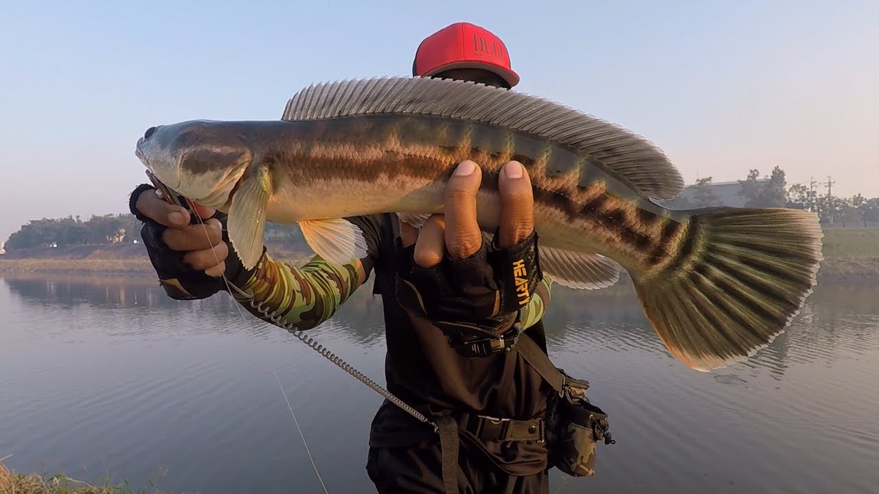 NASA FISHING SPOT BA OR NASA LURE - YouTube