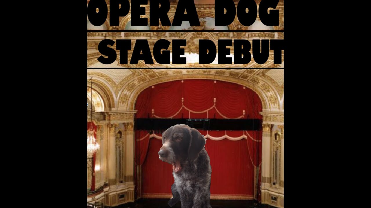 Opera dog stage debut - YouTube