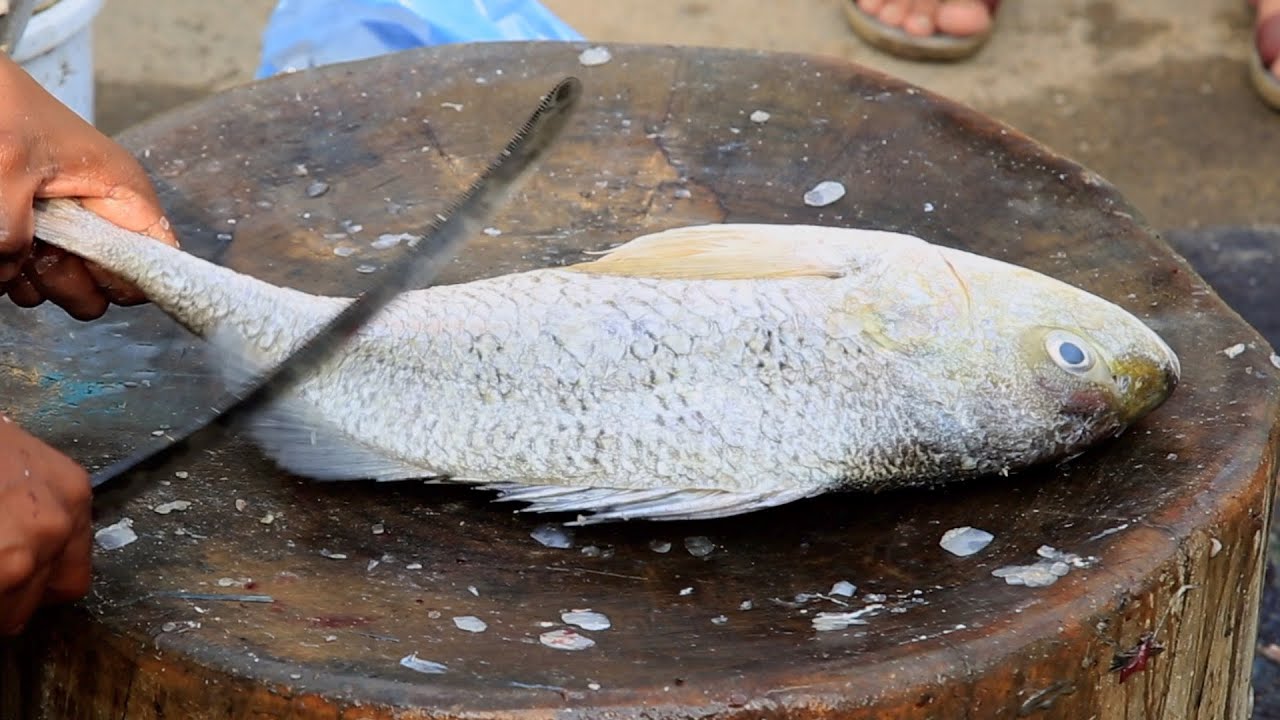 FISH CUTTING IN CHENNAI MARTKET | FISH CUTTING IN SOUTH INDIAN FISH ...