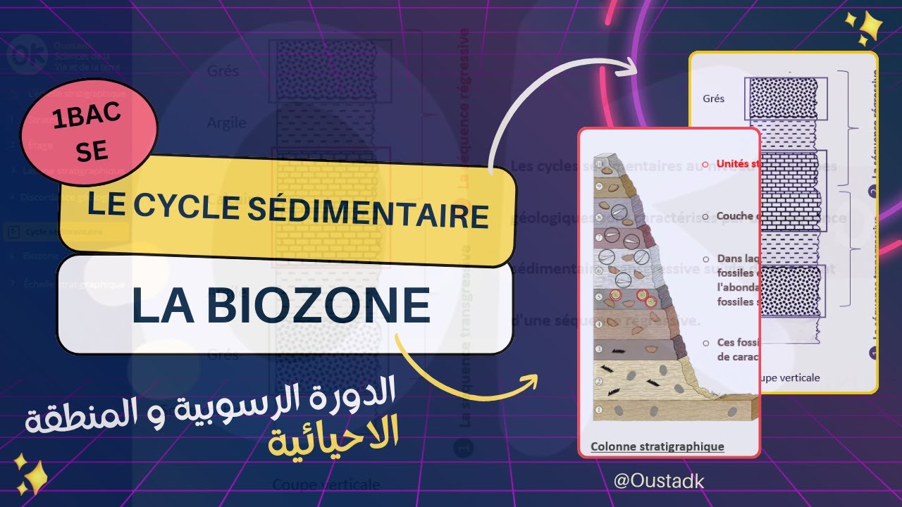 1BAC SE | Le cycle sédimentaire & la biozone فهم مزيان - YouTube