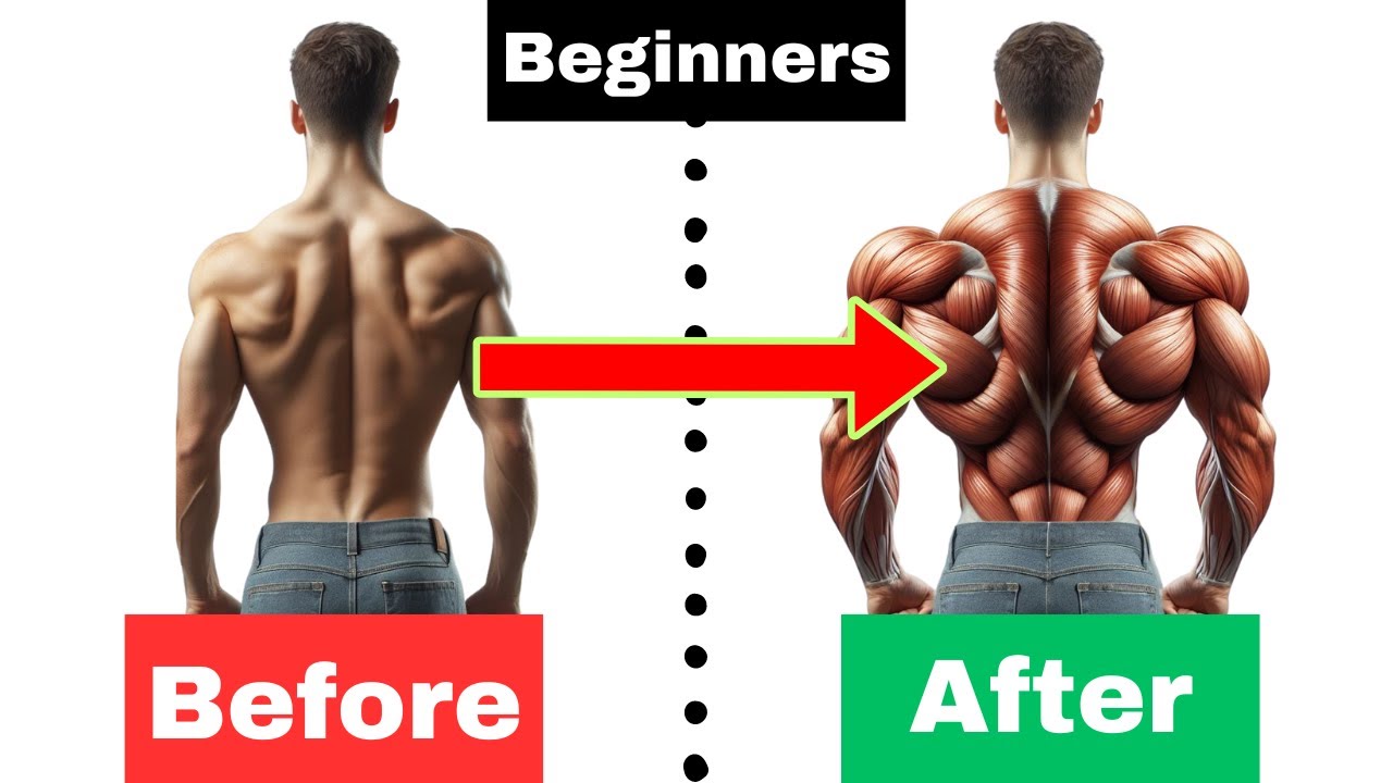 Beginner's Guide to pull ups: back exercises for Strength - back ...