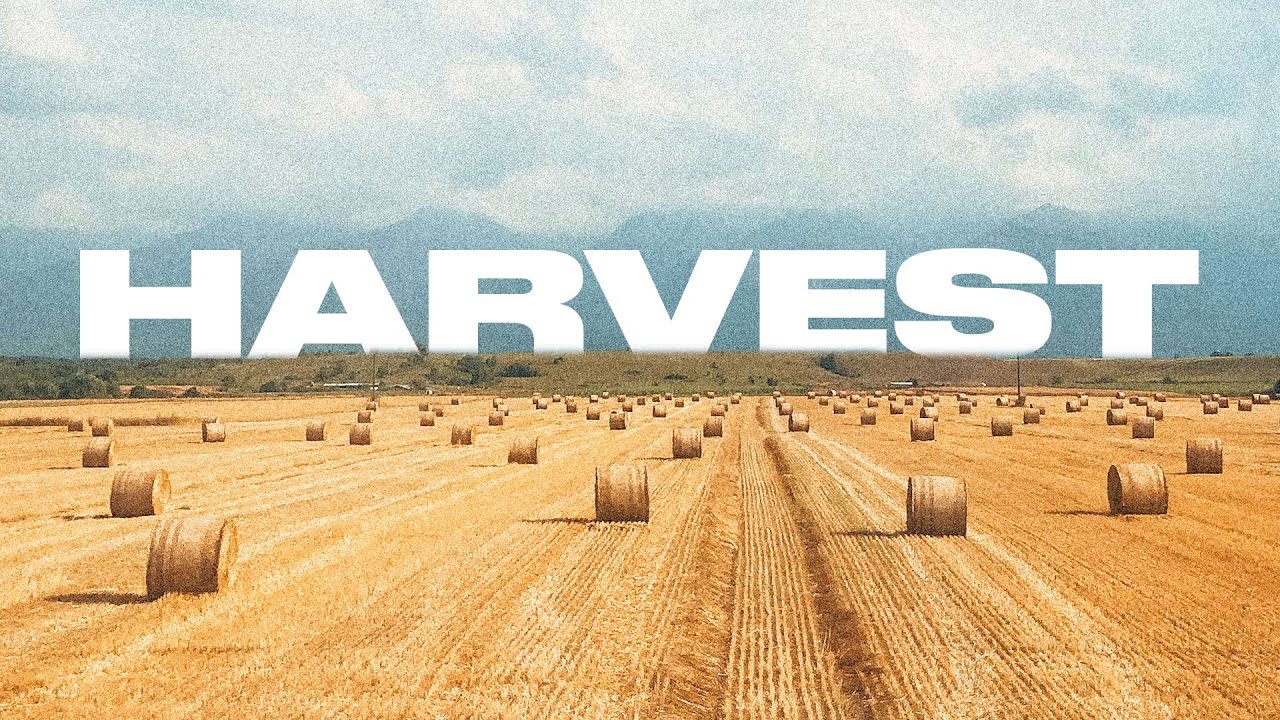 The Fruit of a Grateful Life | Pastor Daniel Floyd | Lifepoint Hampton ...