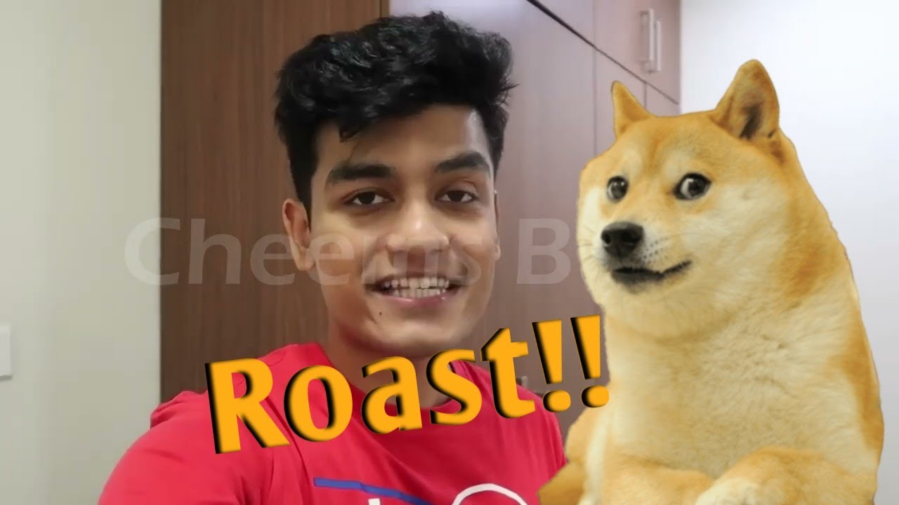 Cheems Roasting Slayy Point | Slayy Point vlog roast | Cheems Burns ...