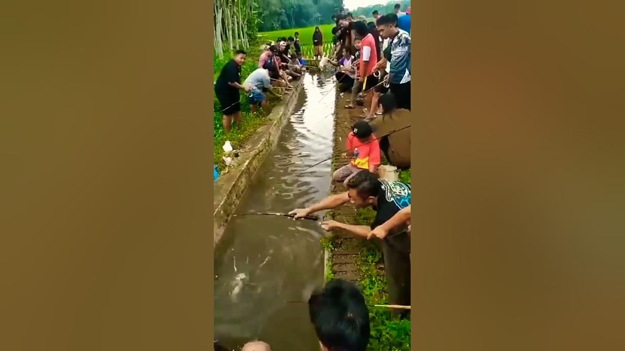 Serunya mancing rame rame - YouTube