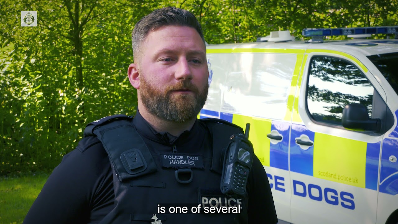Police Scotland's Dog Unit prepare for COP26 - YouTube