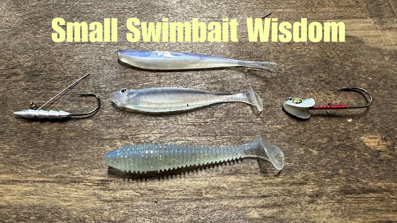 Small Swimbait Modifications And Techniques For Above-Average Anglers ...