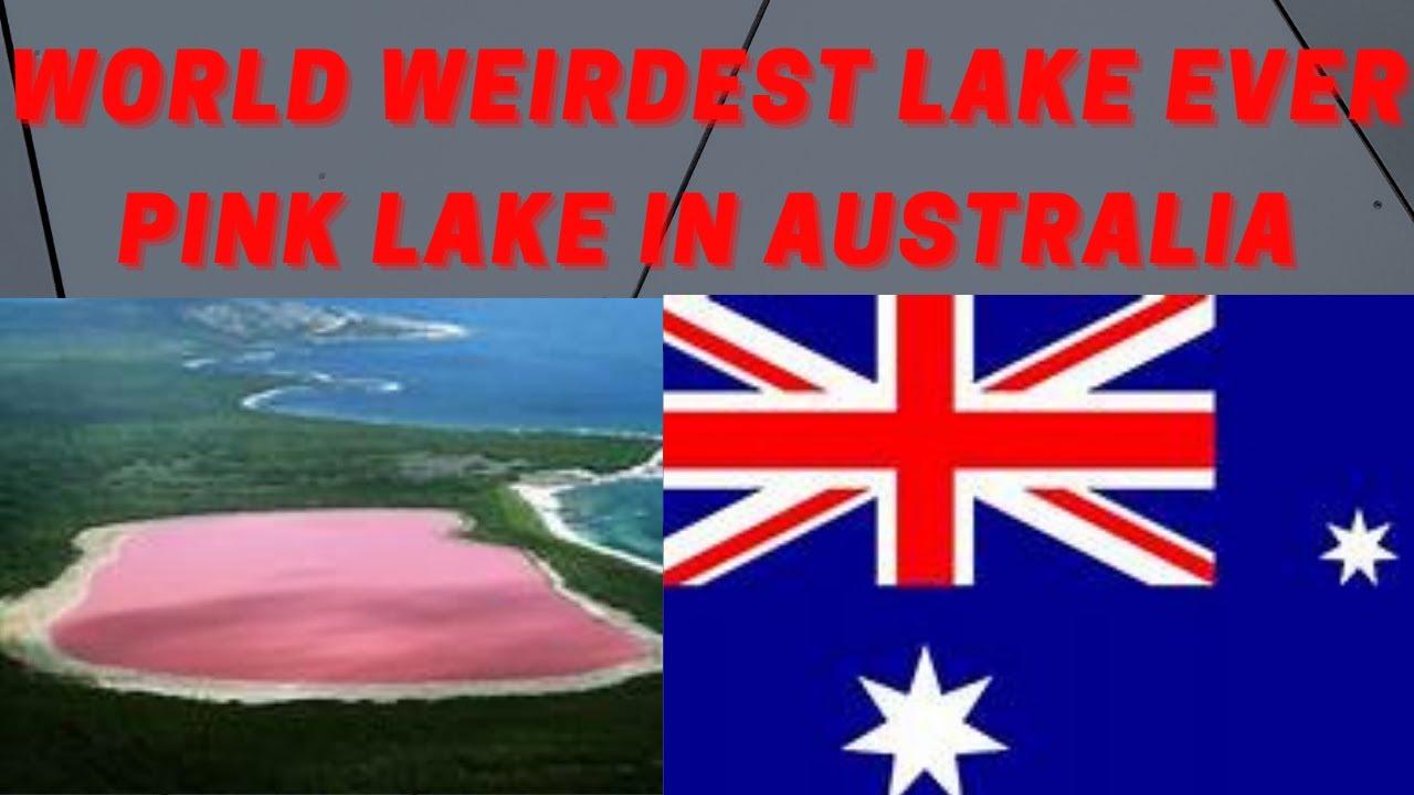 world weirdest lake ever the pink lake in Australia/ E1 🔥🔥🔥 - YouTube
