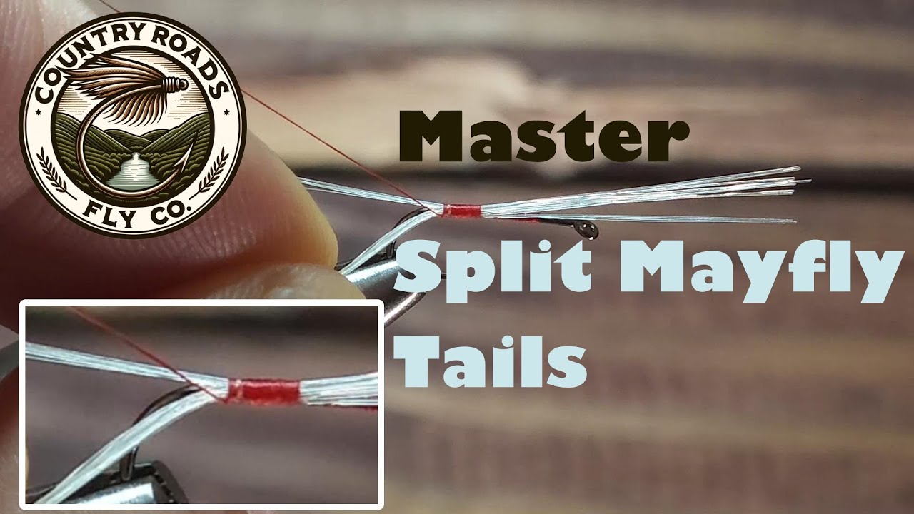 Master Split Mayfly Tails : Essential Fly Tying | Wrap by Wrap Series ...