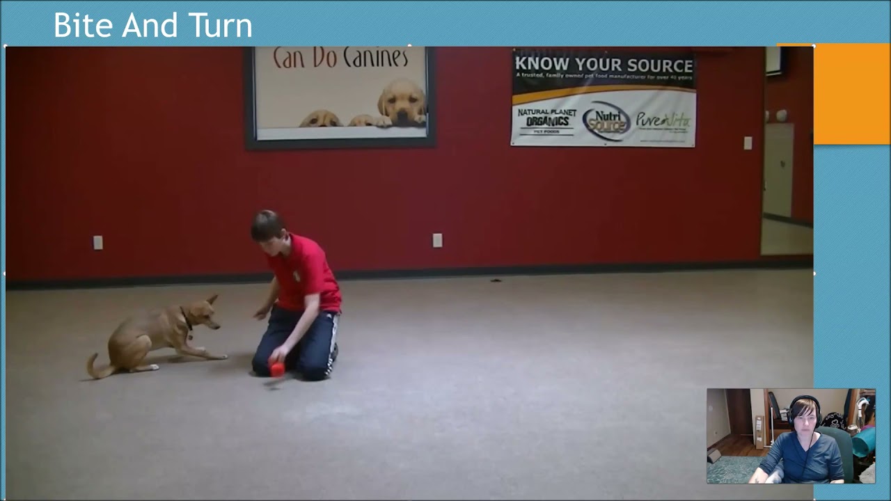 FDSA Workshop Laura Waudby Fetch It - YouTube