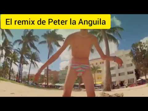 El remix de Peter la Anguila (USDACA)
