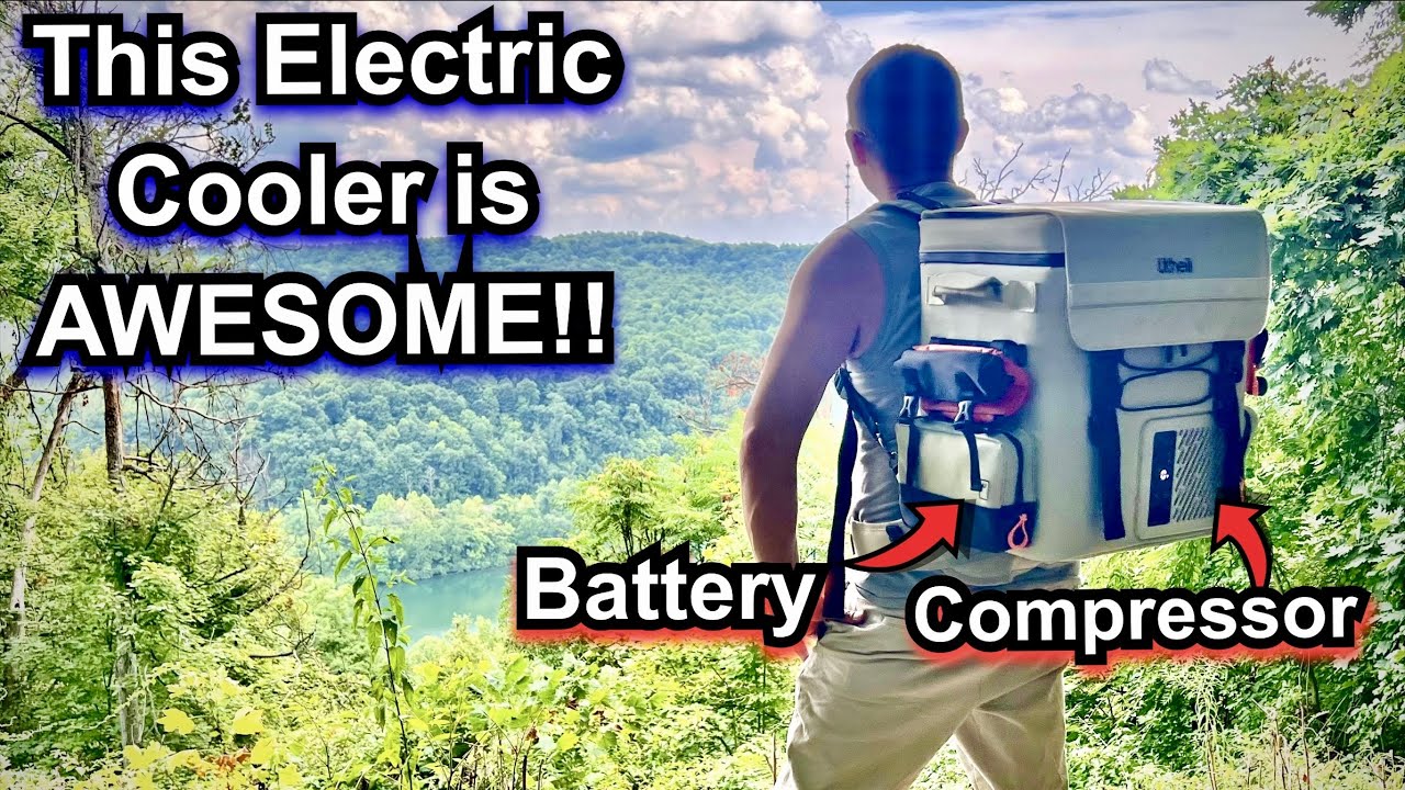 This Electric Cooler is so portable ~ Litheli FrozenPack Backpack ...