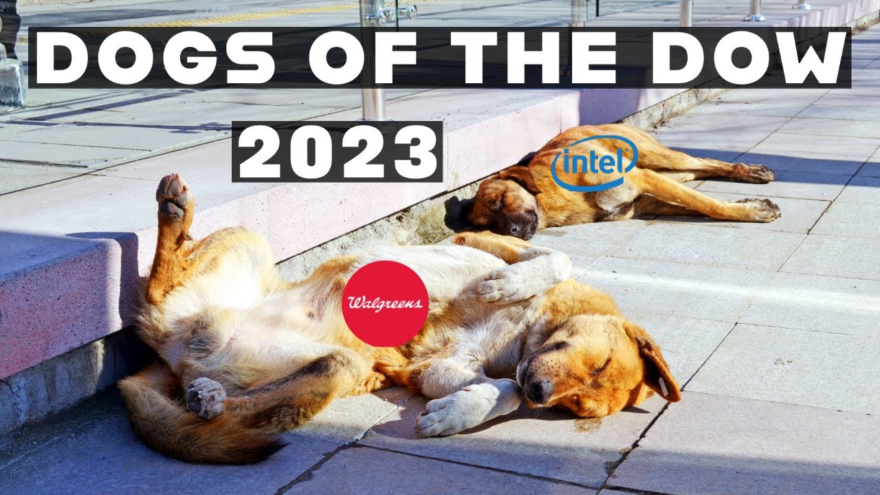 Dogs Of The Dow : Are These The Best Stocks To Buy For 2023? - YouTube
