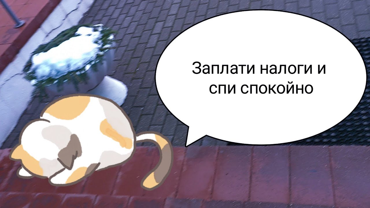 Беларусь Заплати налоги и спи спокойно Салат из интернета Youtube