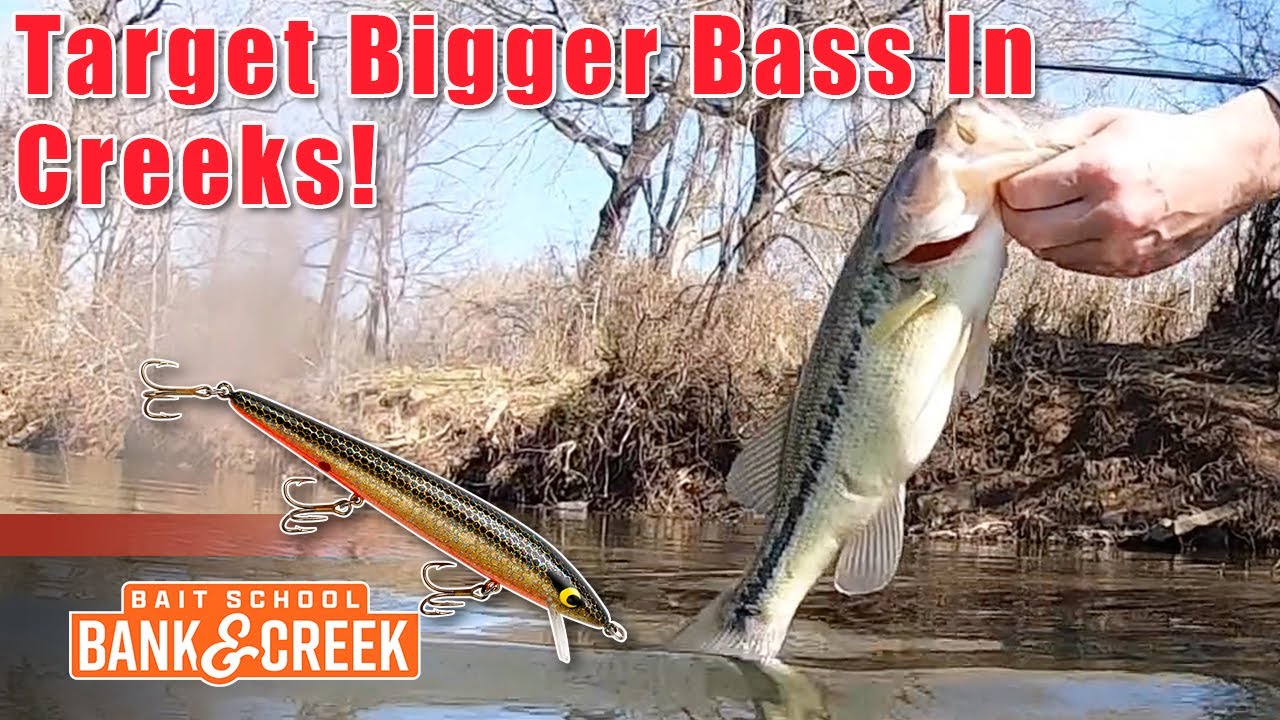 MUST HAVE Lure for Early Spring Creek Bass! - YouTube