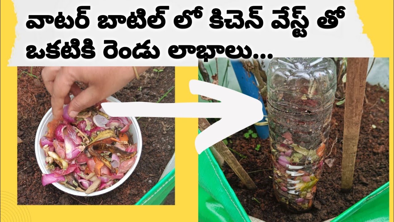 కిచెన్ వేస్ట్ తో ఇలా చేస్తే రెండు లాభాలు | Kitchen waste compost in ...