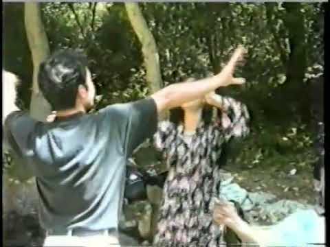 #Hratch Gaydzagian & Haifa wahbe - YouTube