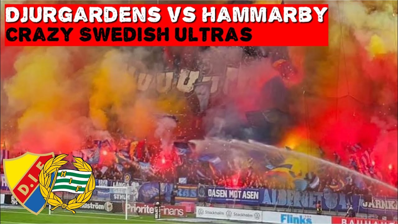8 Minutes Of Crazy Swedish Ultras | Djurgården vs Hammarby | 22-10-2023 ...
