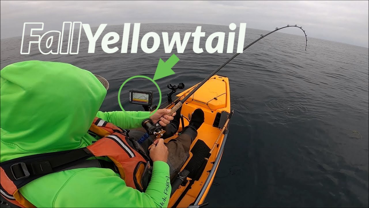FALL Yellowtail Kayak Fishing | Sashimi for Halloween! - YouTube