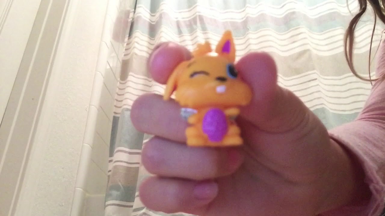 My hachamal poo 💩 - YouTube