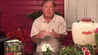 Flower & Plant Care : How Do Plants Store Excess Sugar?
