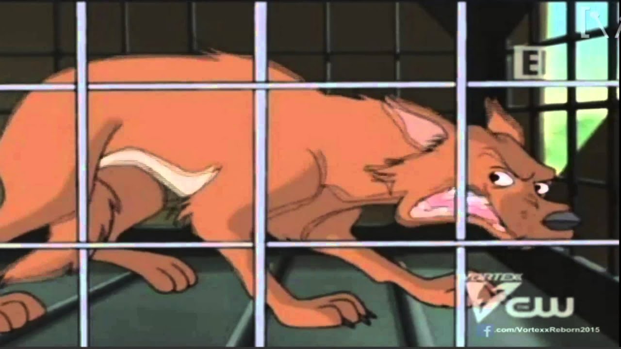 Vortexx 10 - 7 / 21 - YouTube