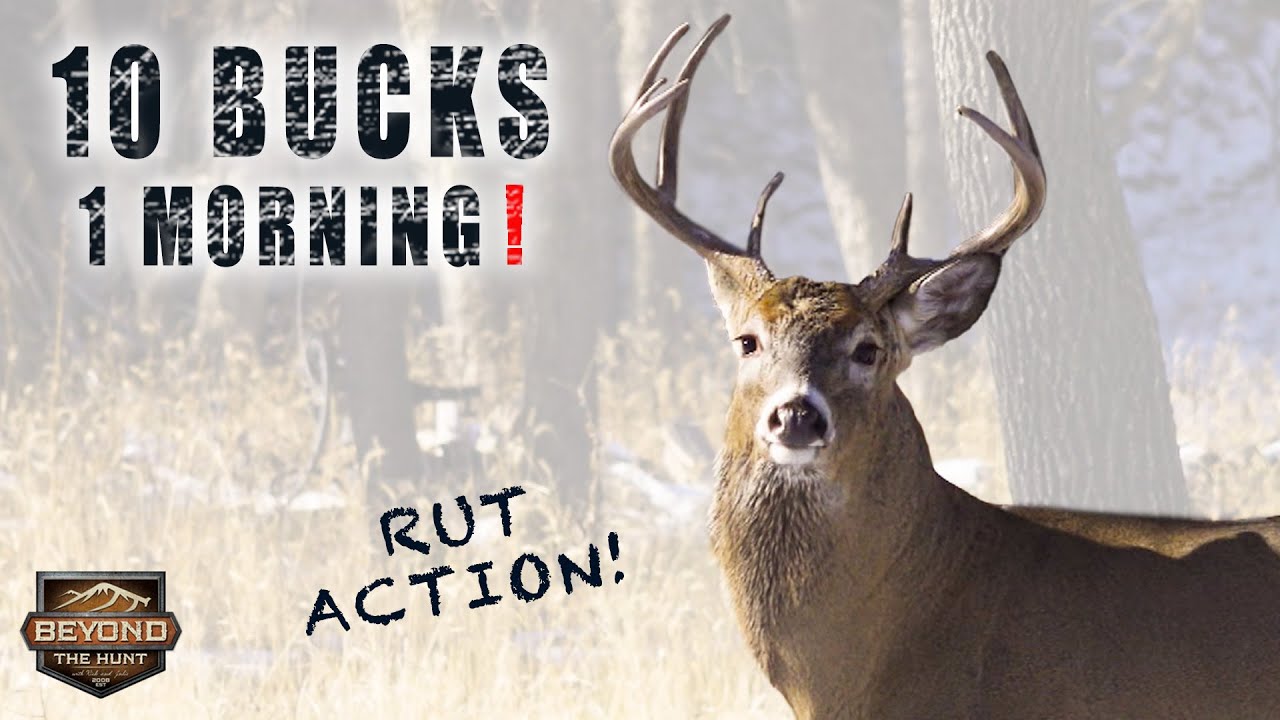 10 BUCKS , ONE MORNING! - YouTube