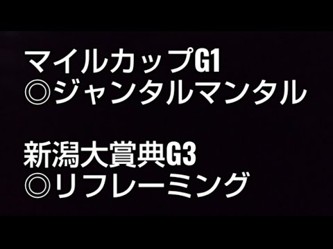 NHKマイルカップG1予想 ジャンタルマンタル新潟大賞典G3リフレーミング - YouTube