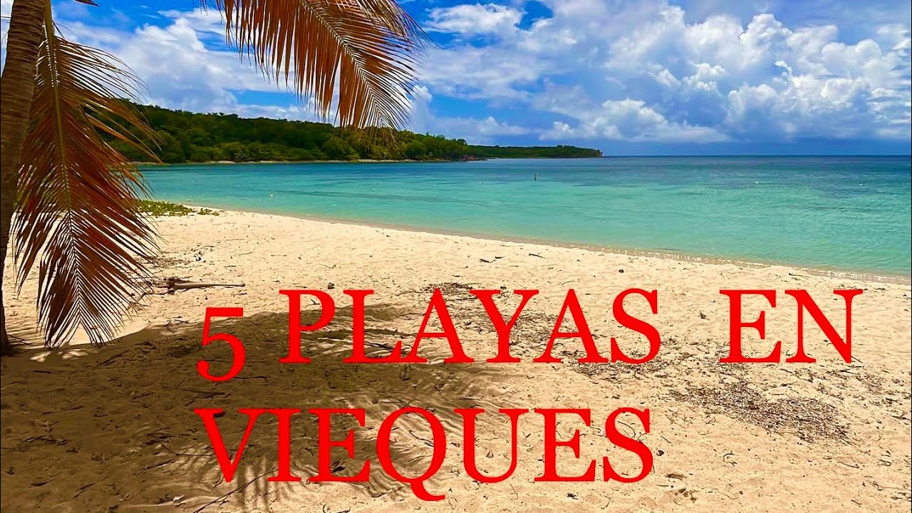 5 DE LAS MEJORES PLAYAS DE VIEQUES, PUERTO RICO. 🏖⛱🌊 🇵🇷 - YouTube