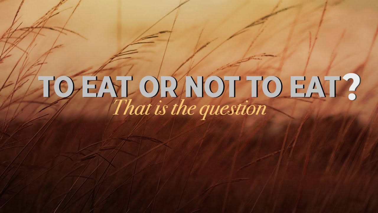 To Eat Or Not To Eat - YouTube