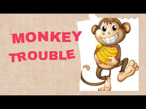 Monkey trouble - YouTube