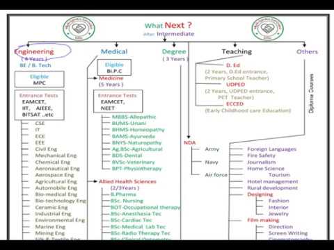 Best Career Options After Class 12th | Science | Commerce | Arts | Best ...