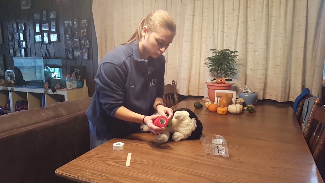 Modified Robert Jones with Splint (Part 2) - YouTube