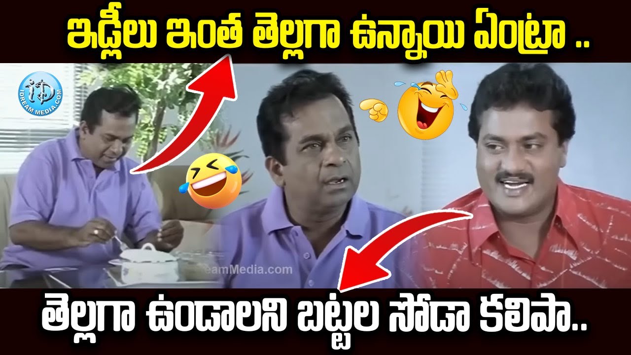 Brahmanandam , Sunil Super Hit Ultimate Comedy Scenes | Funny Videos | @iDPalnadu - YouTube
