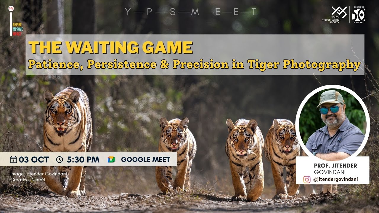 The Waiting Game - Patience, Persistence & Precision in Tiger ...
