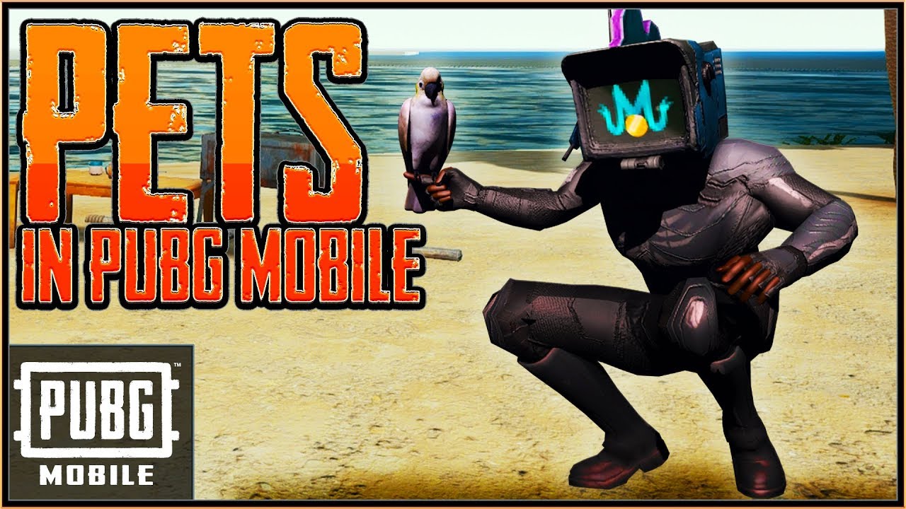 PETS IN PUBG MOBILE! - YouTube