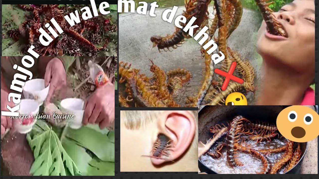 How To Cook Centipedes😬Kamjor Dil Wale Na Dekhe - YouTube